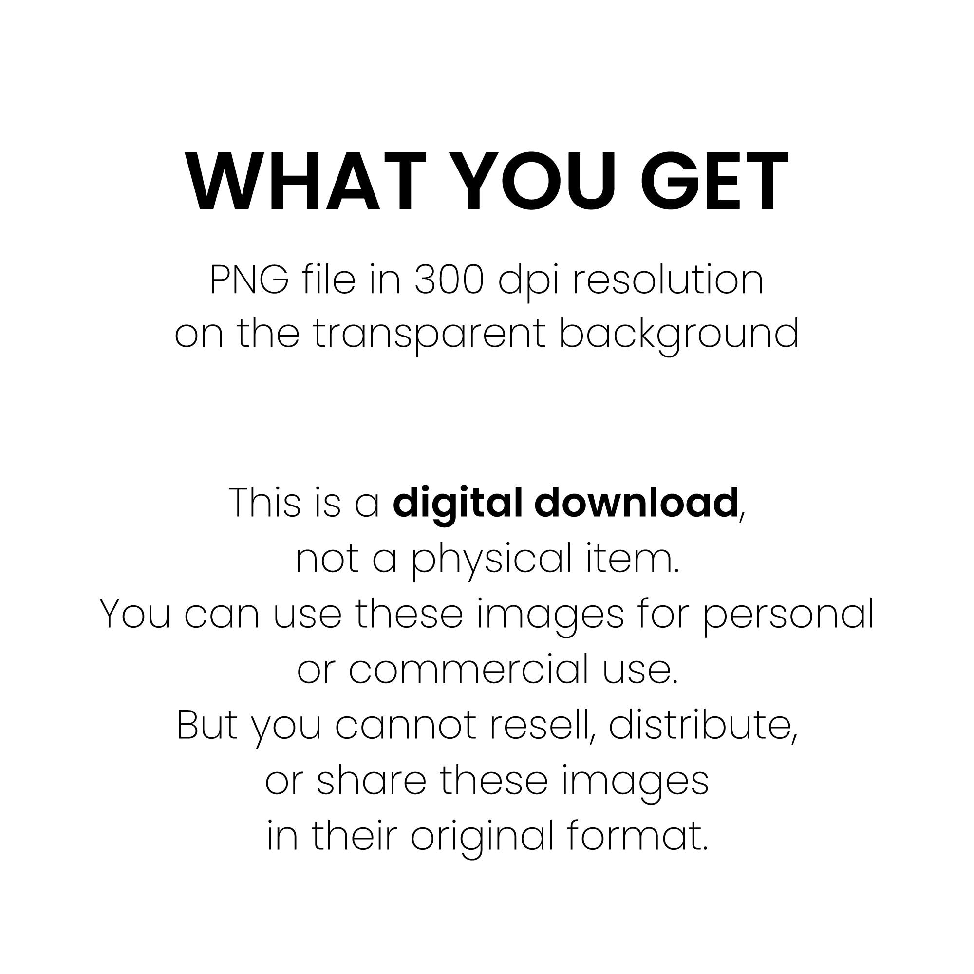 Marine Corps 250th Anniversary PNG, US Marines 1775-2025 Digital ...