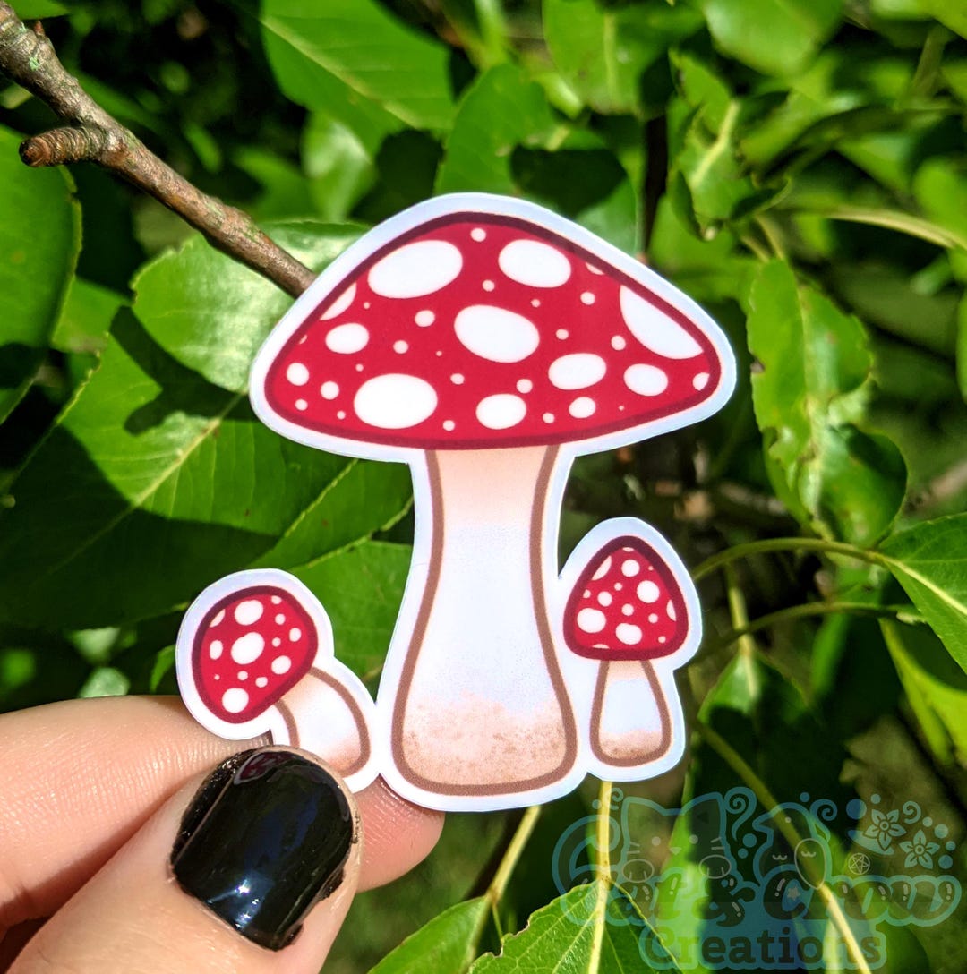 Red Mushrooms | Waterproof Clear Gloss Vinyl Sticker - Etsy