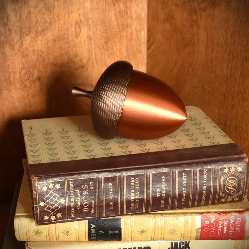 Large Acorn Storage Container: Cottagecore Nature Cache Box - Etsy