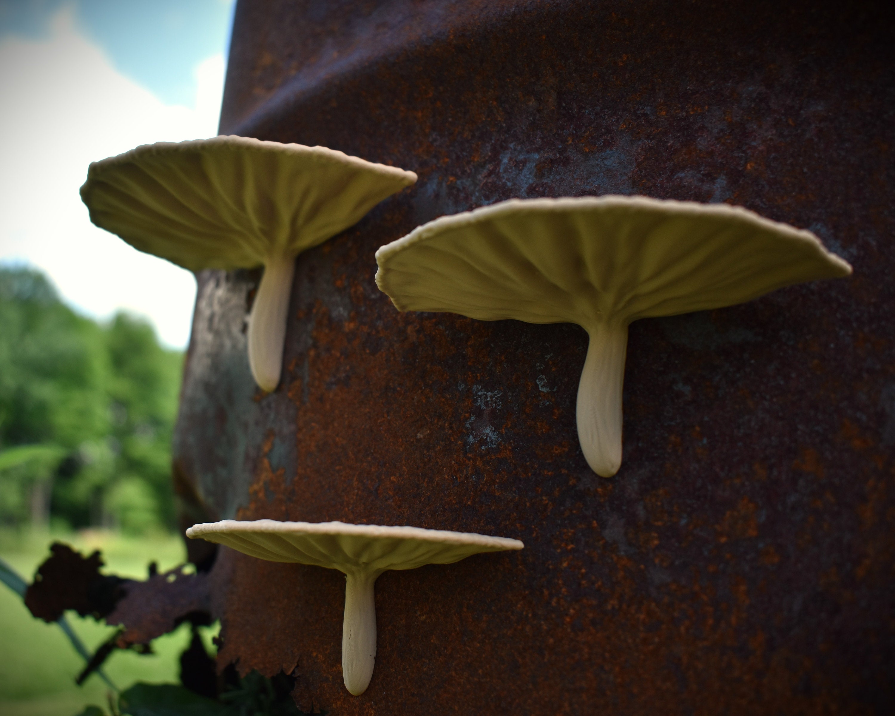 Mushroom Magnets | Flat Cap Mushrooms | 3D Fridge Magnets | Cottage ...