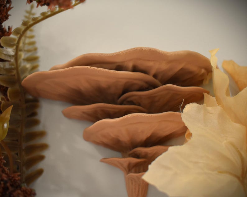 Cluster Mushroom Magnet | Oyster Mushrooms | 3D Fridge Magnets ...