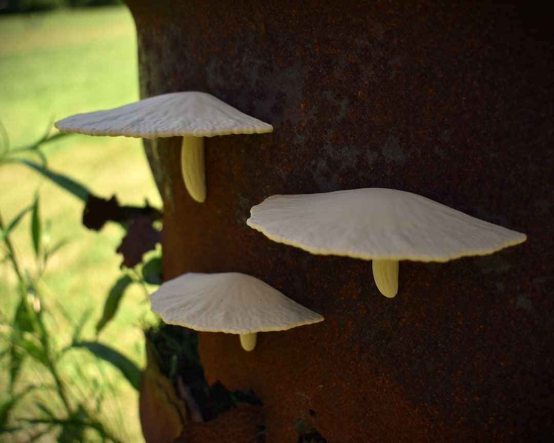 Mushroom Magnets | Low Cap Mushrooms | 3D Fridge Magnets | Cottage Core ...