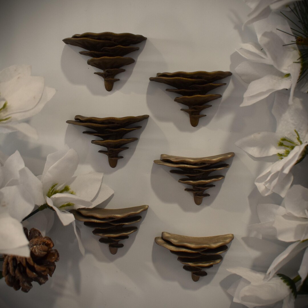 Cluster Mushroom Magnet - Pack of 6 - Petite Size | Oyster Mushrooms ...