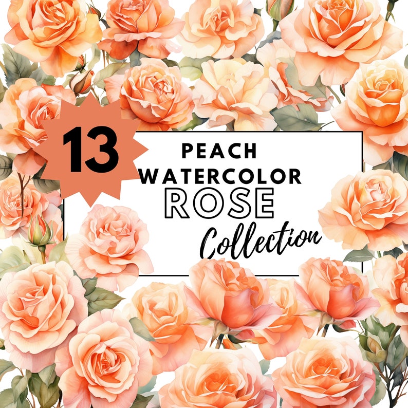 Watercolor Peach Roses Clipart - Elegant Floral Illustrations, Romantic ...