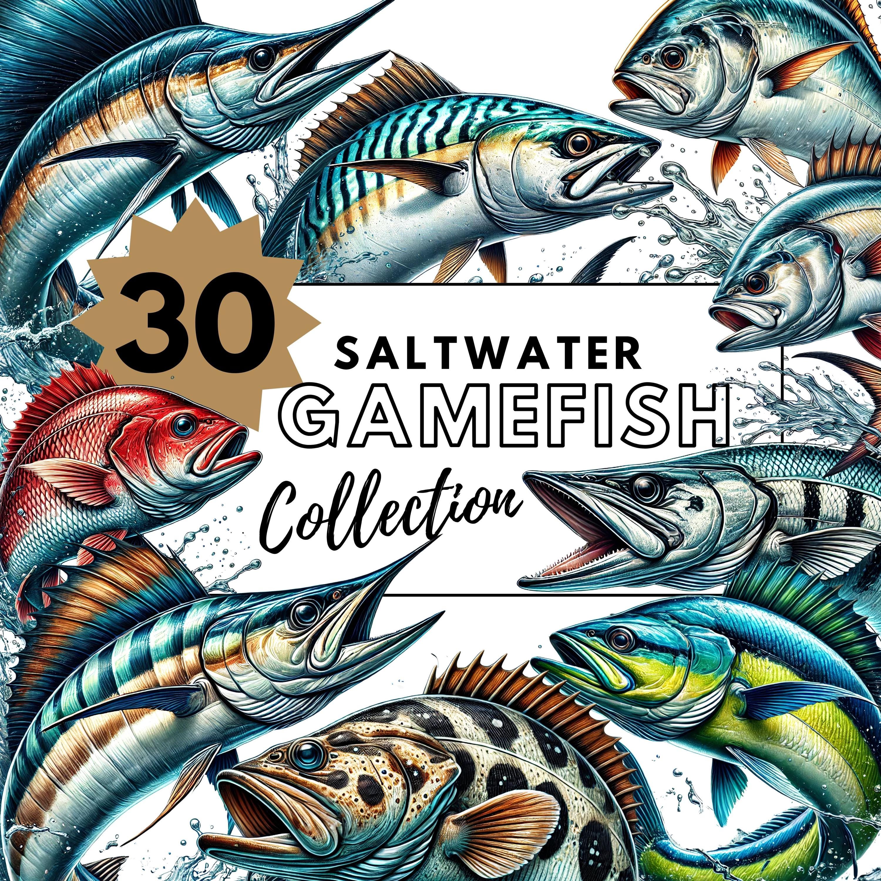 30 Saltwater Gamefish Clipart Collection Popular Ocean Sport Fishing ...