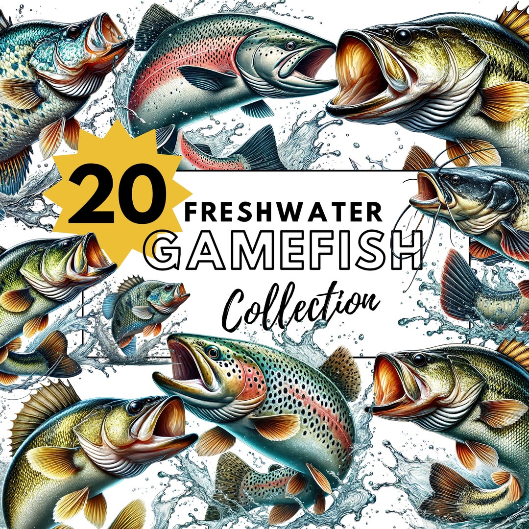 Freshwater Game Fish Clip Art: 20 Fishing Illustrations (PNG). - Etsy