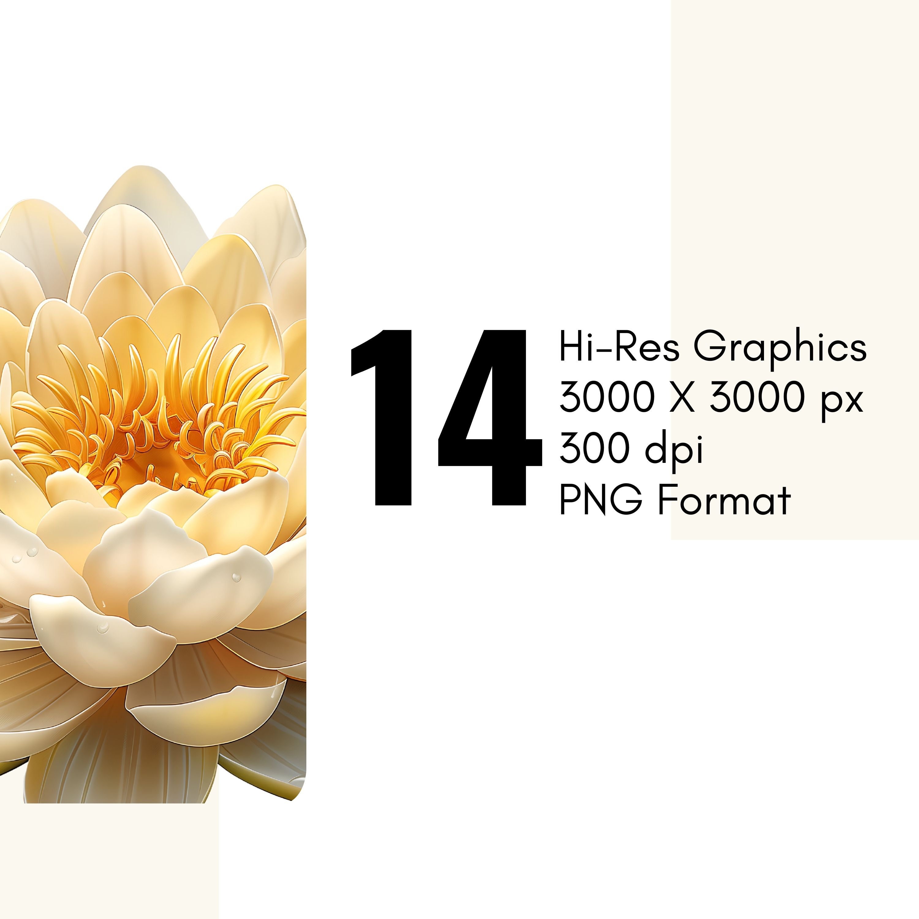 Realistic Lotus Flower Clipart - Serene Water Lily Collection - Etsy