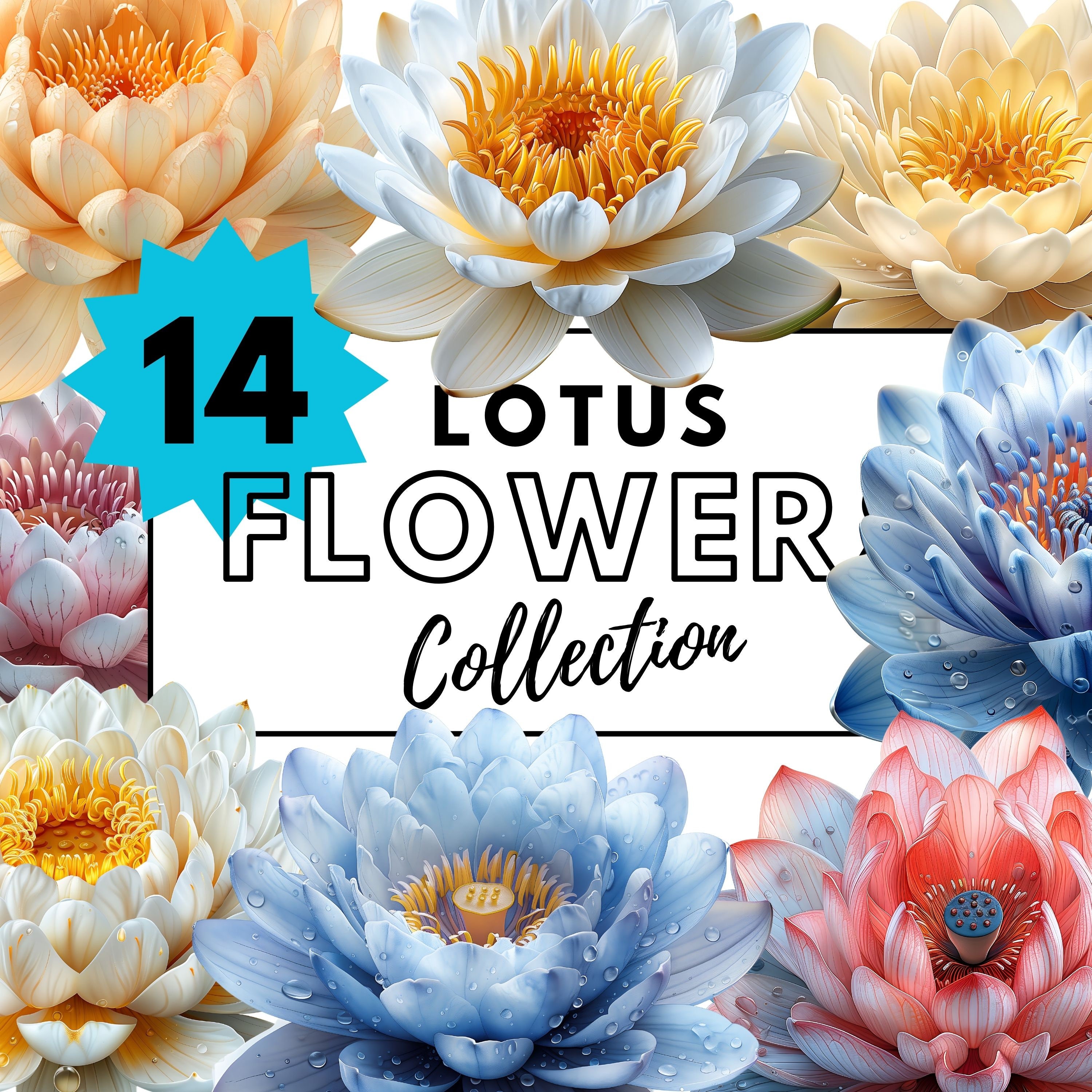 Realistic Lotus Flower Clipart - Serene Water Lily Collection - Etsy