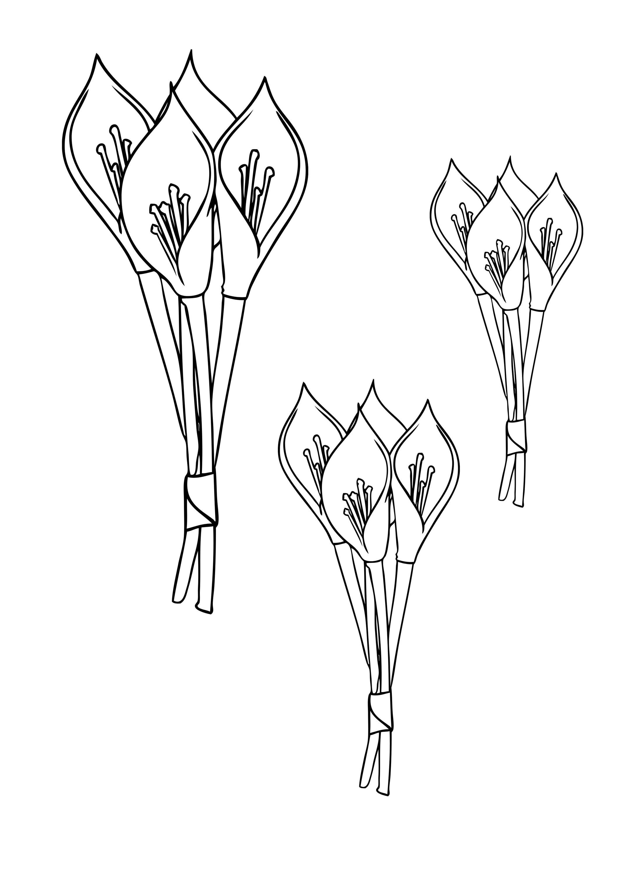 Flower Drawing Templates: 46 Printable Pages for Embroidery & Painting ...
