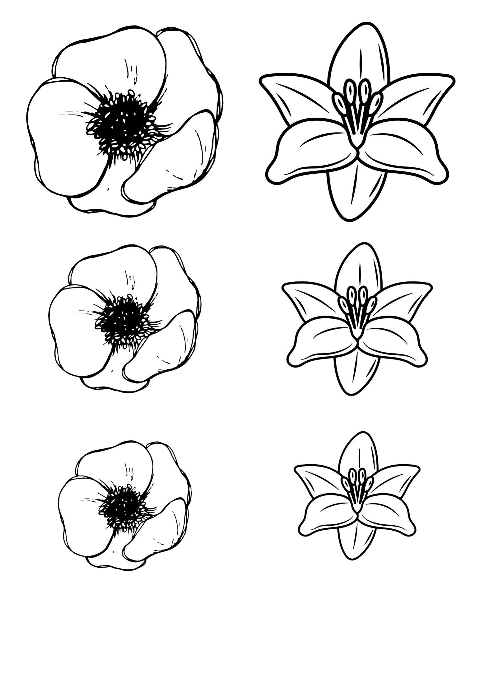 Flower Drawing Templates: 46 Printable Pages for Embroidery & Painting ...