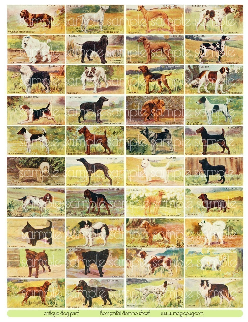 Antique Dog Breeds Domino Digital Collage Sheet 2x1 Horizontal - Etsy
