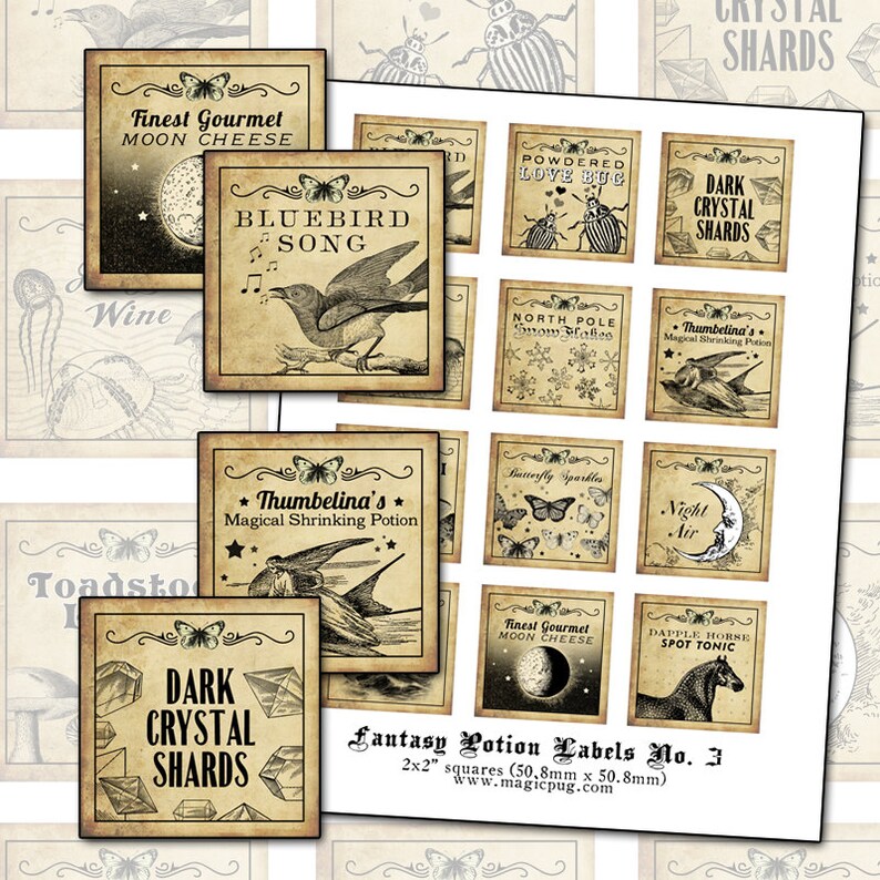 Antique Fantasy Potion Labels III 2x2 Inch Digital Collage | Etsy