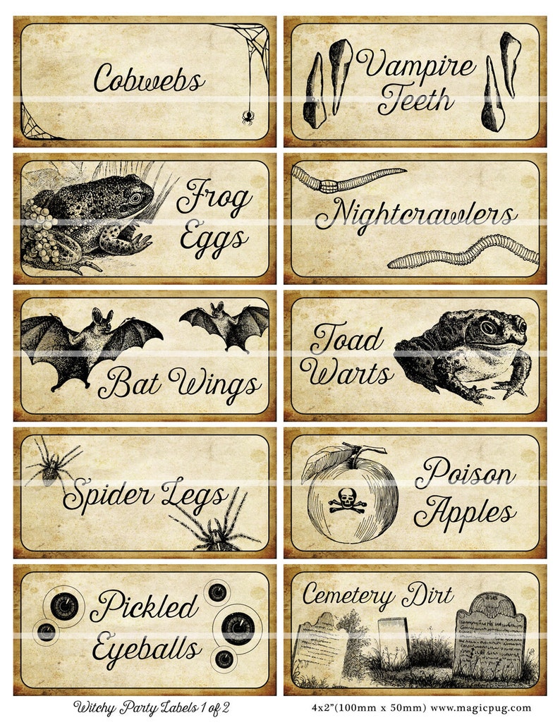 Halloween Witch Party Potion Label Set 4x2 in Digital Collage - Etsy