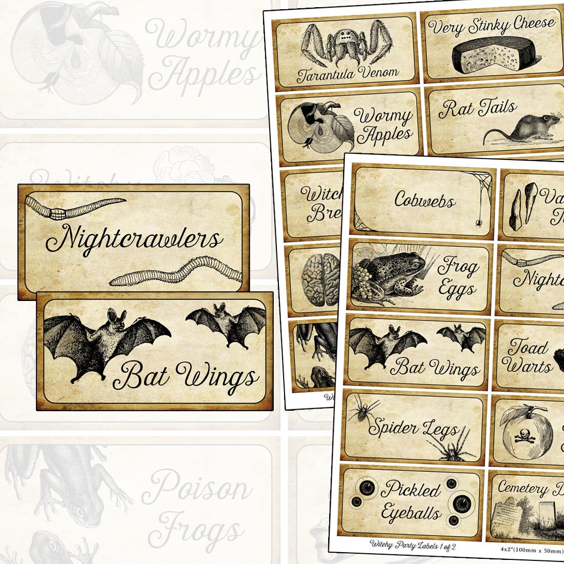 Halloween Witch Party Potion Label Set 4x2 in Digital Collage - Etsy