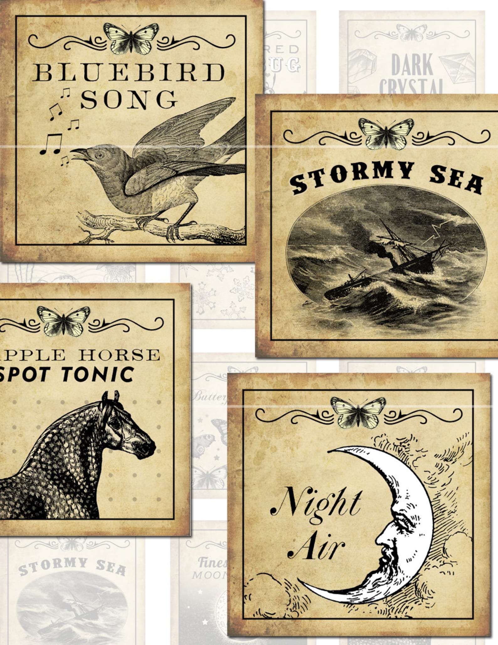 Antique Fantasy Potion Labels III 2x2 Inch Digital Collage | Etsy