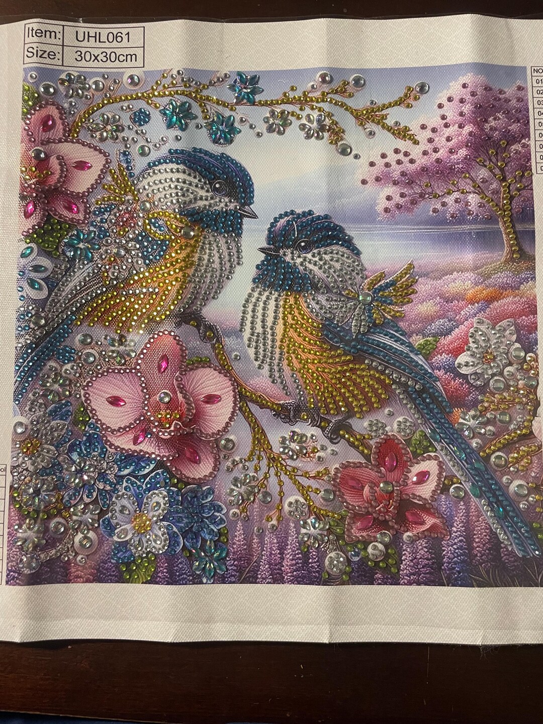 Sprakly Blue Bird Framed Completed Diamond Art - Etsy