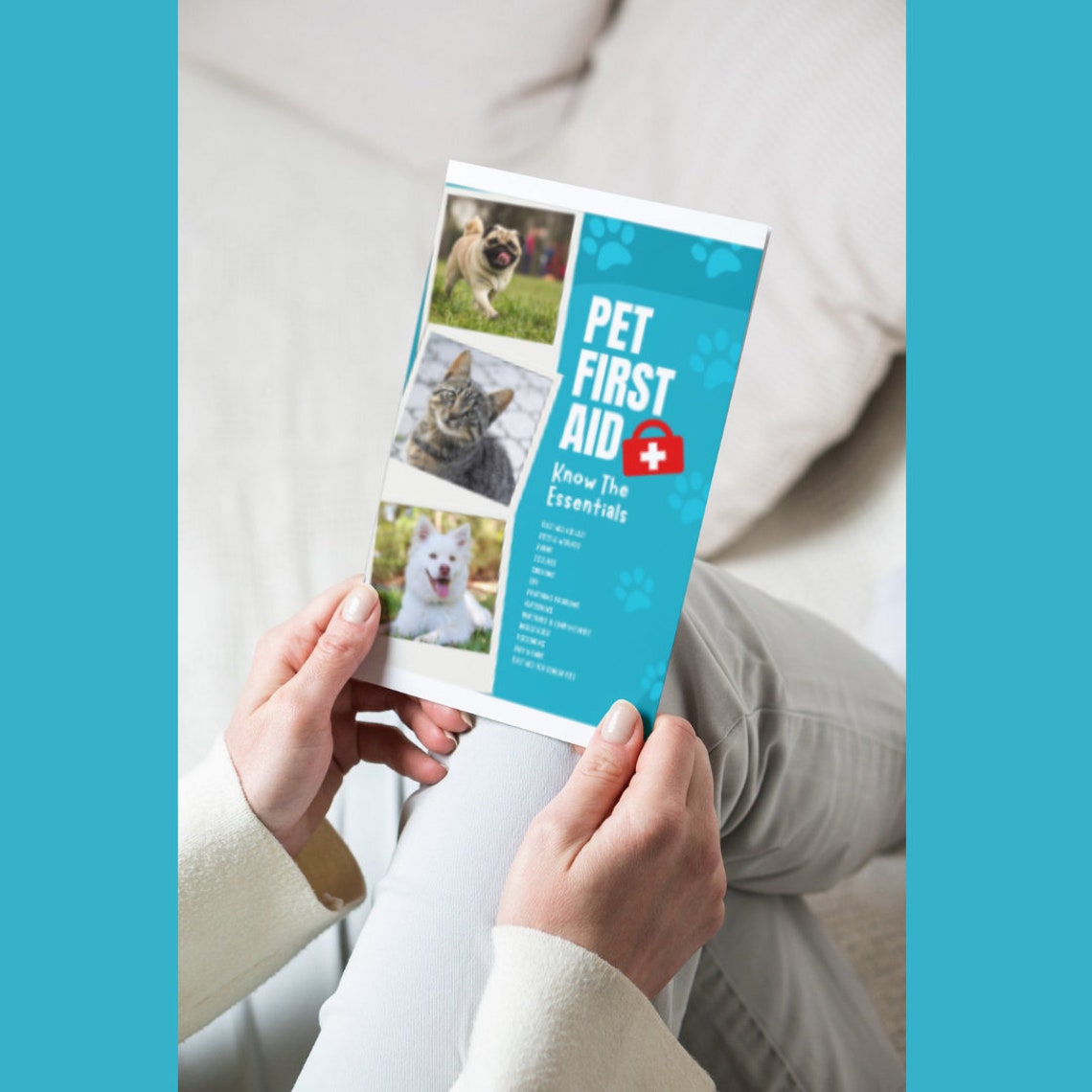 Pet First Aid Guide for Cat & Dog Owners - Etsy