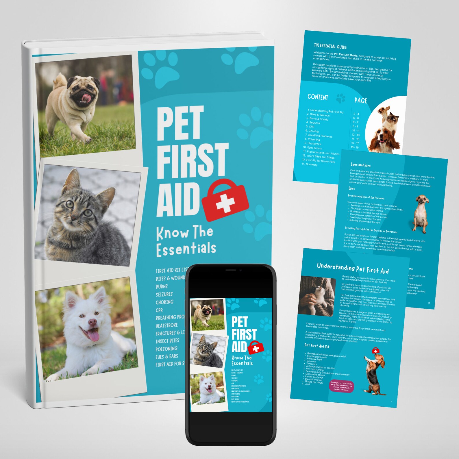 Pet First Aid Guide for Cat & Dog Owners - Etsy