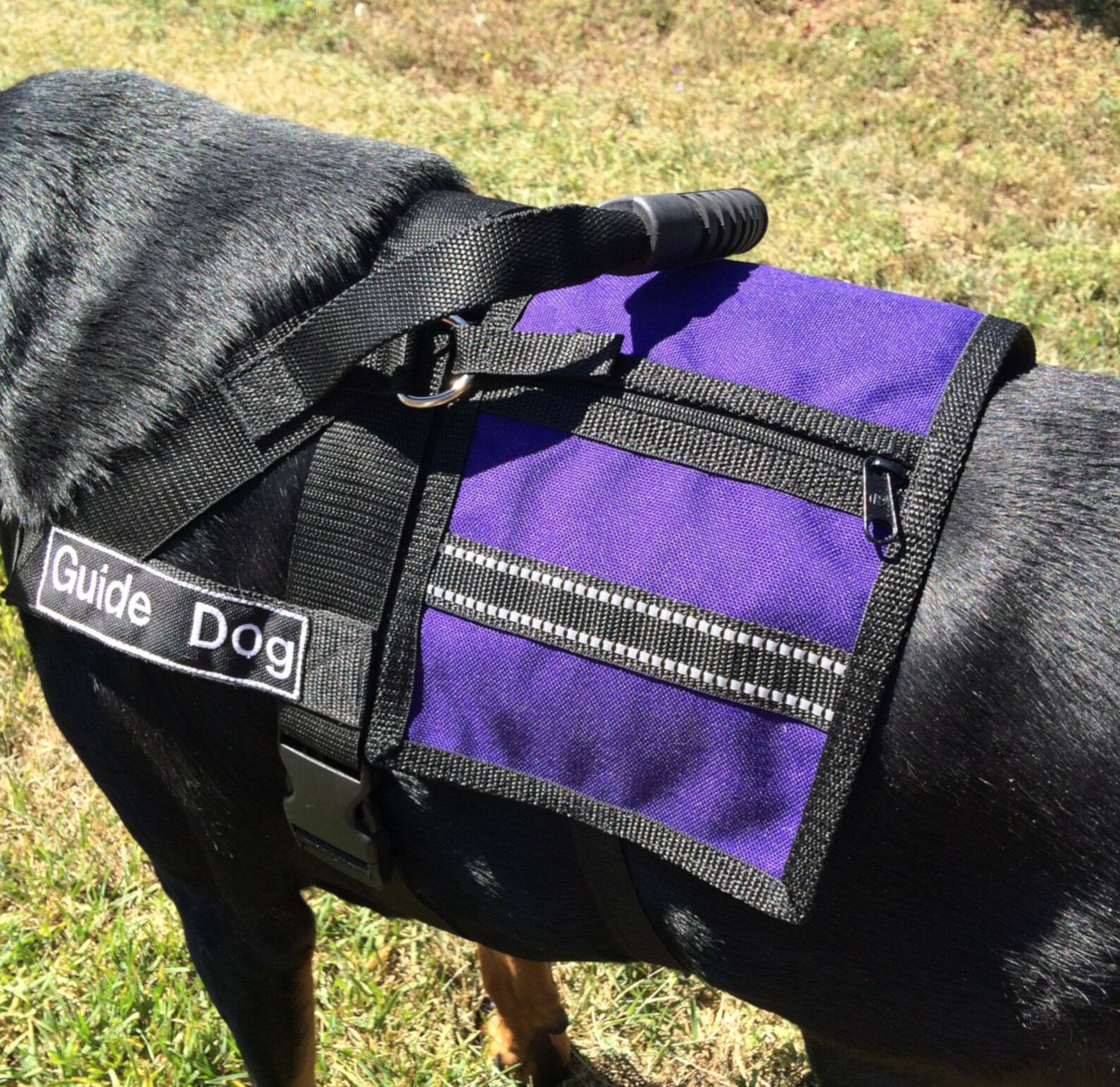 CozyHorse Service Dog Cape/Vest for mobility Harness PURPLE | Etsy
