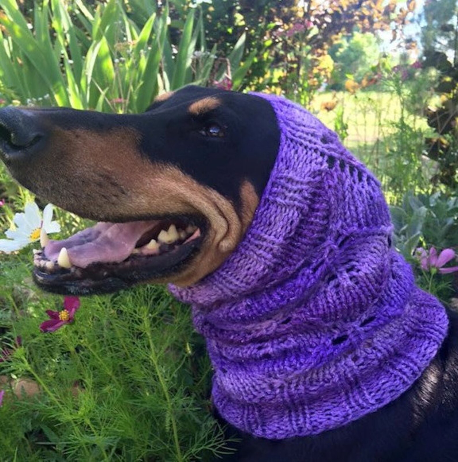 Hand Knitted Snood for Dog Ultra Violet / Purple Winter - Etsy
