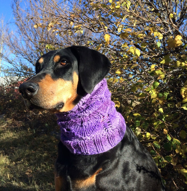 Hand Knitted Snood for Dog Ultra Violet / Purple Winter - Etsy