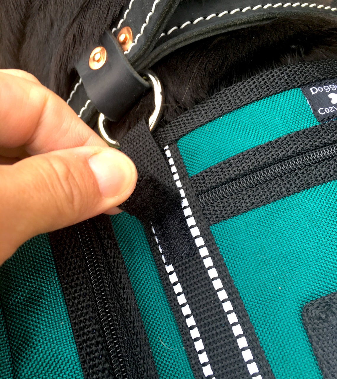 Teal Saddlebags With Service Dog Patches ID Pocket for Dog - Etsy