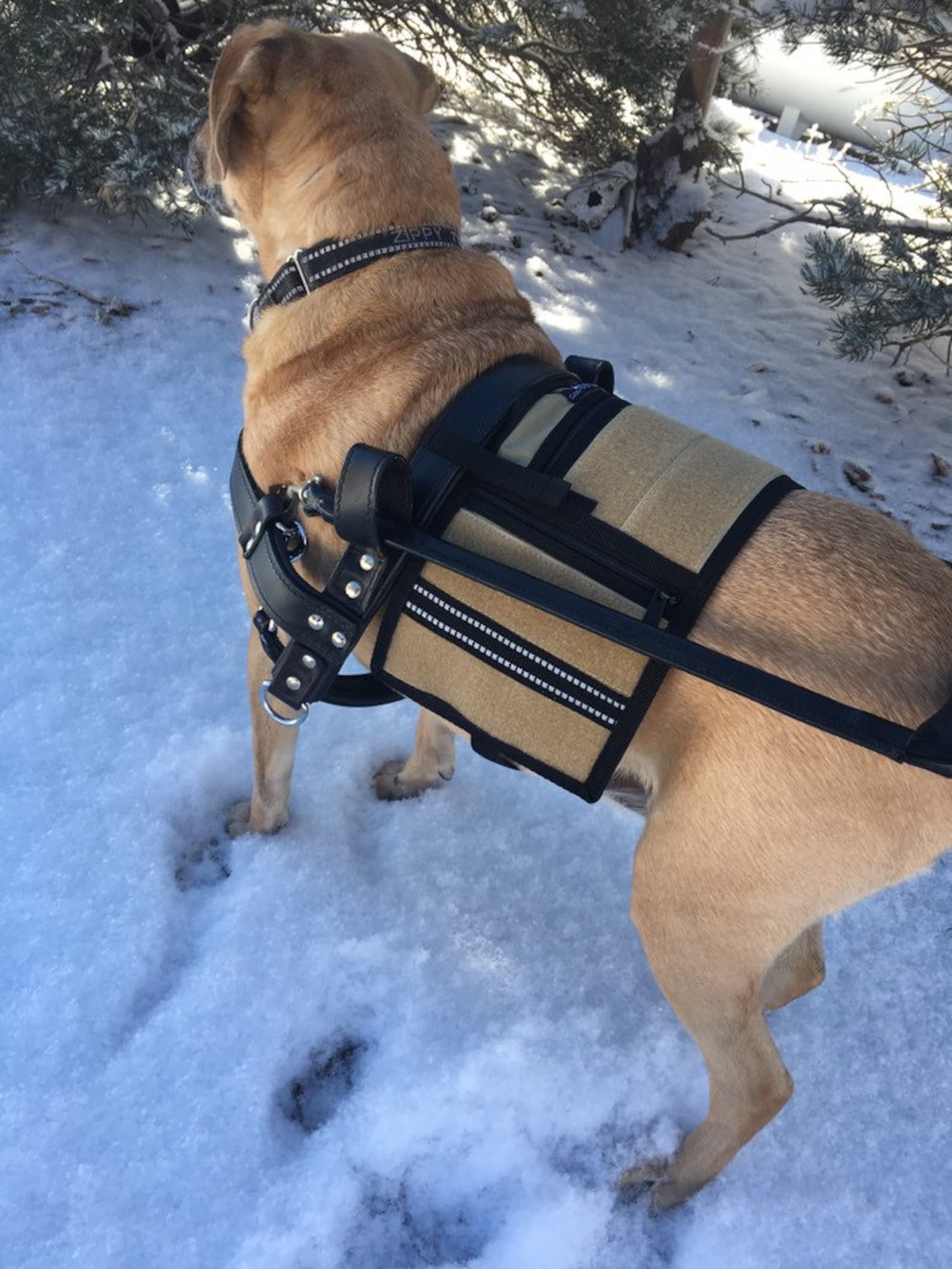 Tan Loop Dog Cape Designed to Attach to Hiking Guide - Etsy