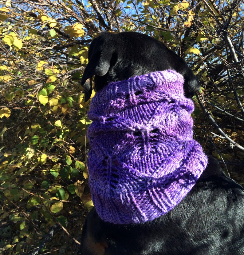 Hand Knitted Snood for Dog Ultra Violet / Purple Winter - Etsy