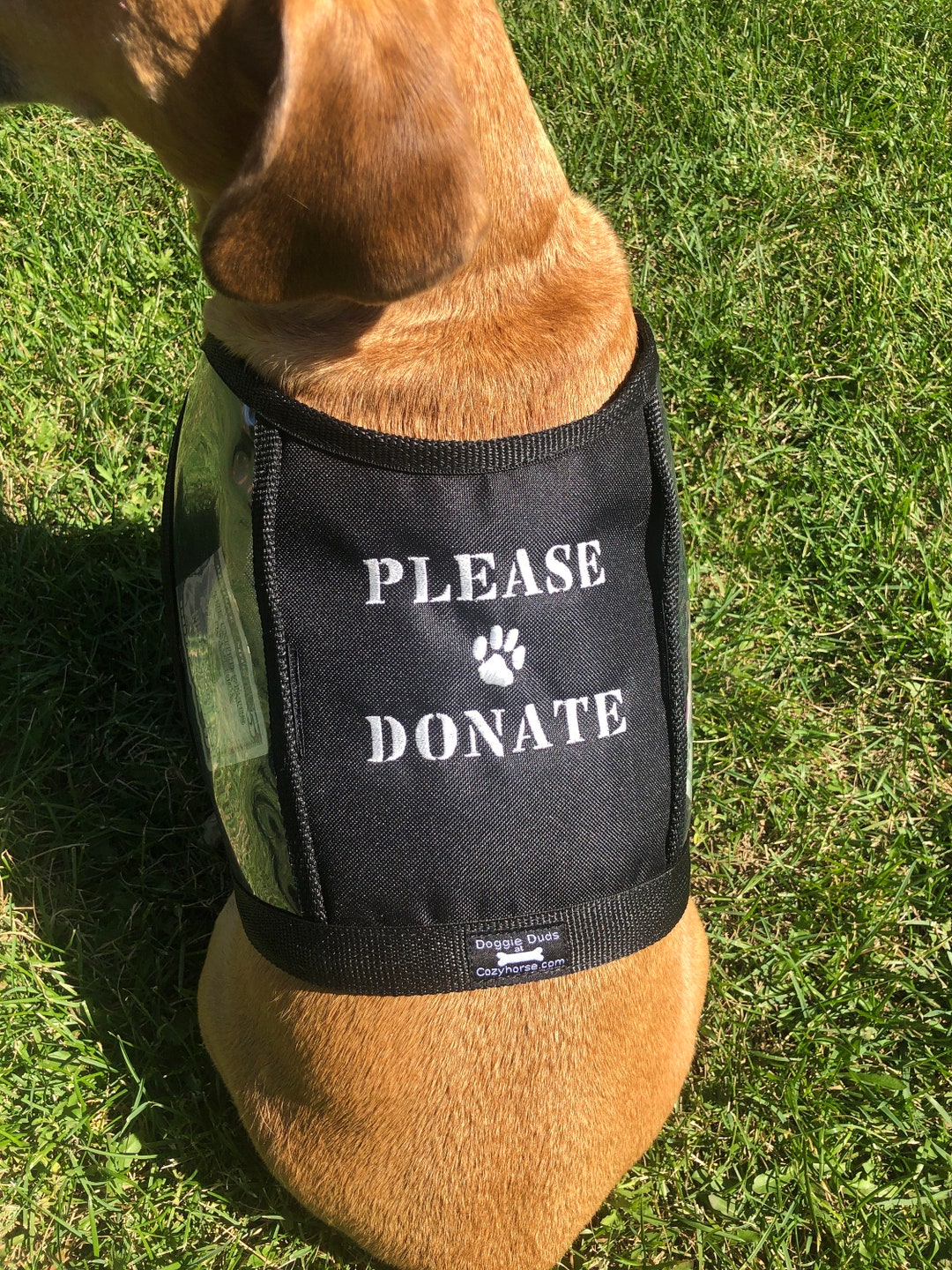 PLEASE DONATE Fundraising Dog Vest With Large Clear Pockets for ...