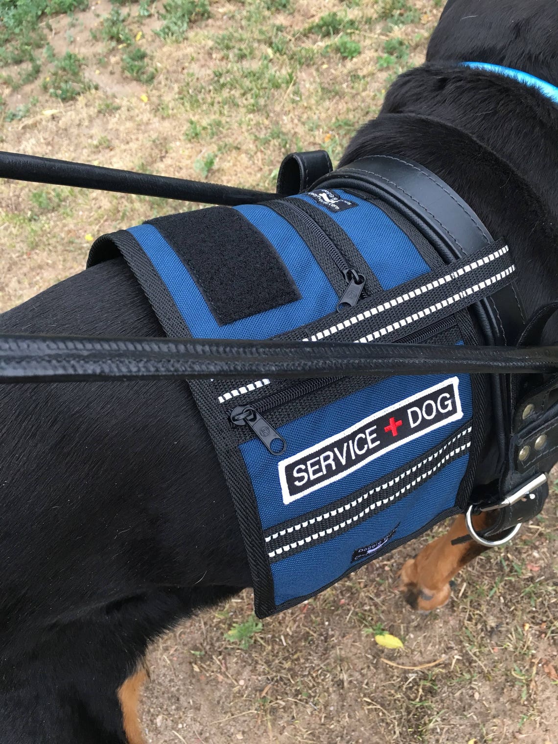 Vest for Guide Dog Harness Cape vest for Guide Dog Harness | Etsy