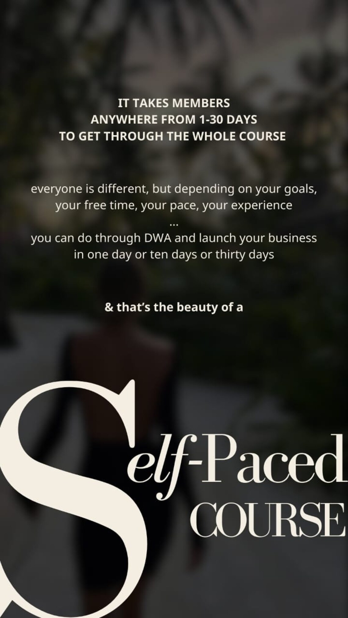 DWA Digital Wealth Academy Digital Marketing Course MRR Resell 15 X ...