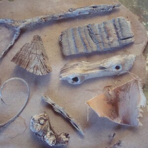 Desert Wood Assorted Types and Shapes Woody Pieces for Crafts ...