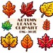 Fall Leaves Clipart | Fall Leaves Clipart Set |fall Leaf PNG Bundle ...