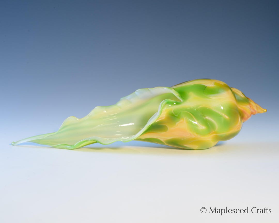 Blown Glass Sea Shell, sunny Seaweed, Hand Blown Glass Seashell ...
