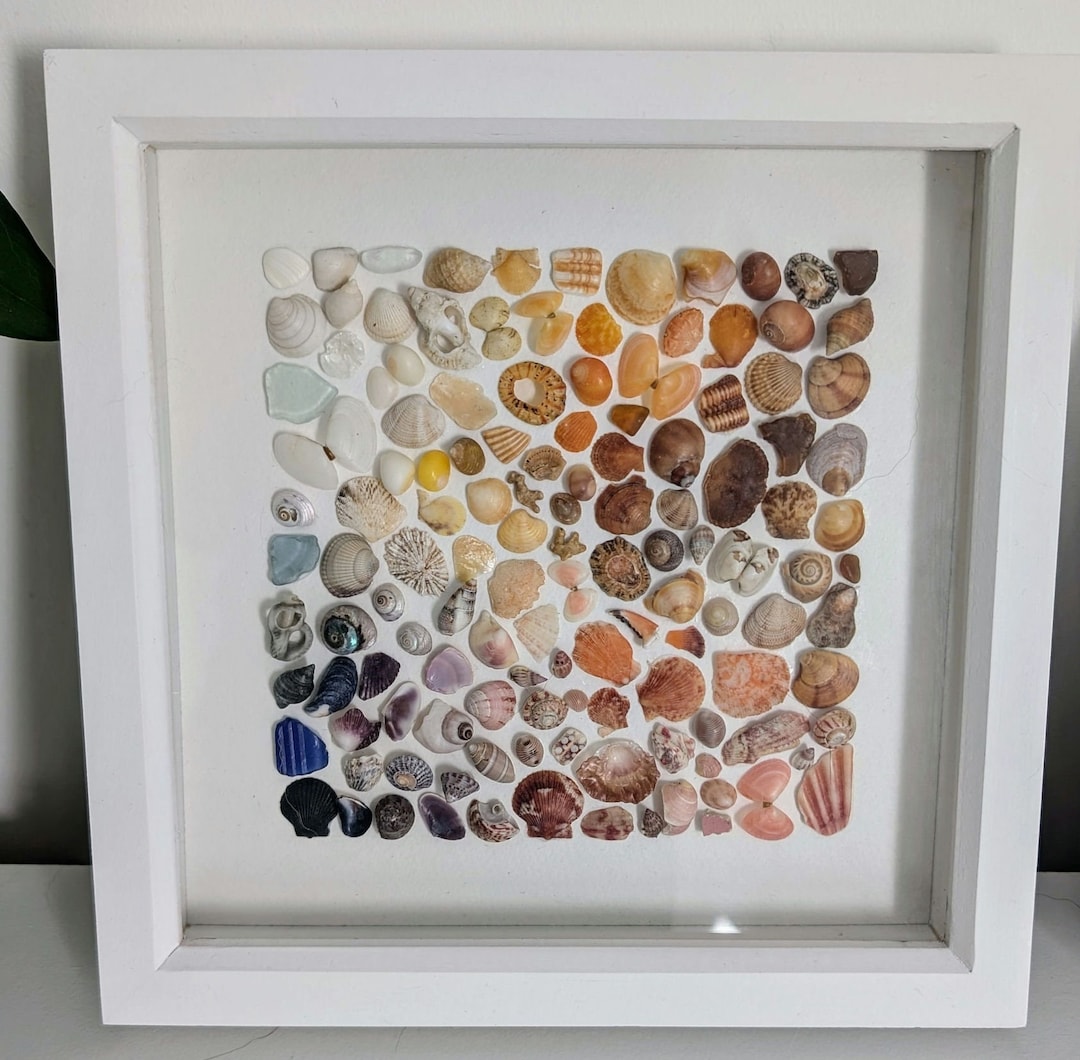 Seashell Coastal Collage Wall Art - Collage of Tiny Seashells Including ...