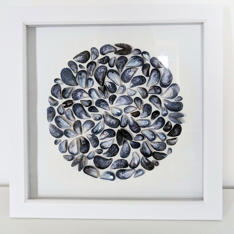 Mussel Shell Art - Etsy Canada