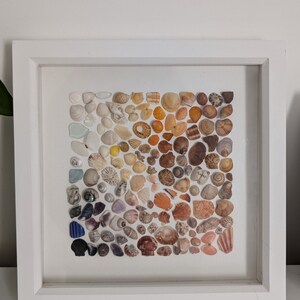 Seashell Coastal Collage Wall Art - Collage of Tiny Seashells Including ...