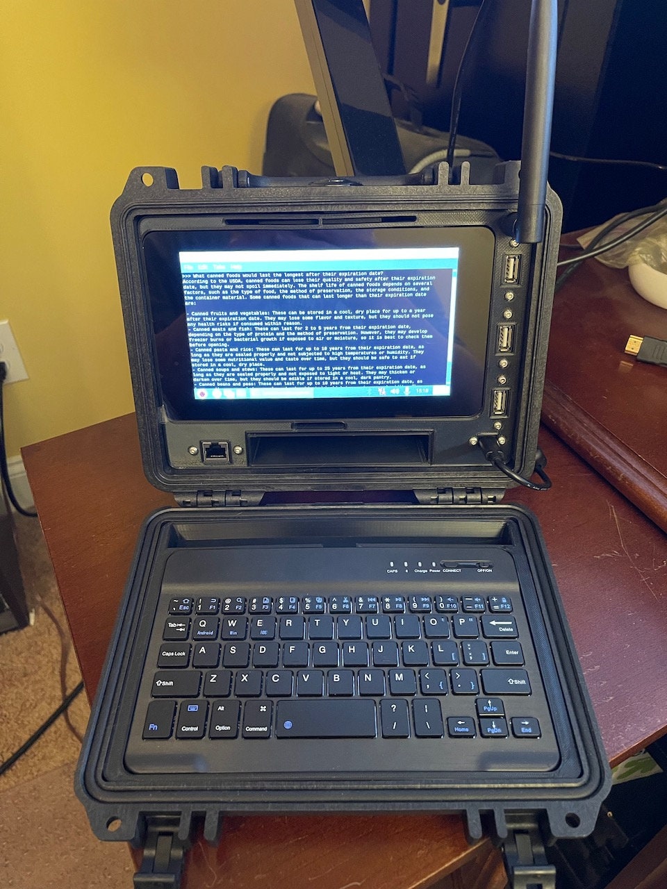 Offline Ai Computer - the "doom Box" - Etsy