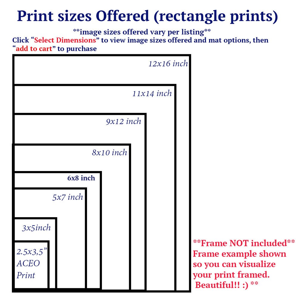 Polish Pottery Cat Still Life Art Cat Print Giclee Kitchen | Etsy