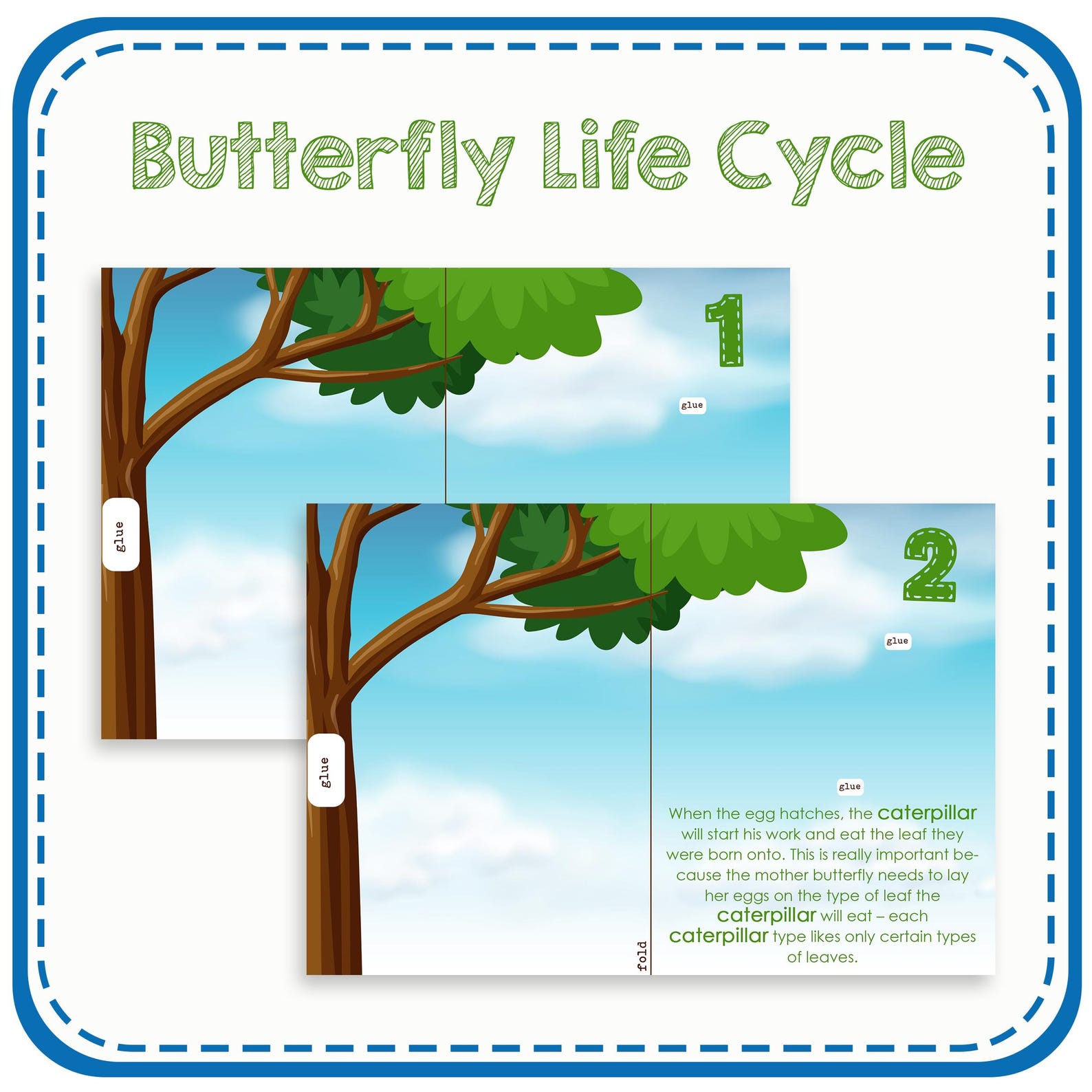 Butterfly Life Cycle - Kids Activities, Brain Teaser, Puzzle, Diorama ...