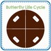 Butterfly Life Cycle - Kids Activities, Brain Teaser, Puzzle, Diorama ...