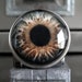 Realistic Eyeball Pin Button 6 Colors Available Grey Green Aqua Blue ...