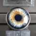 Realistic Eyeball Pin Button 6 Colors Available Grey Green Aqua Blue ...