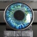 Realistic Eyeball Pin Button 6 Colors Available Grey Green Aqua Blue ...
