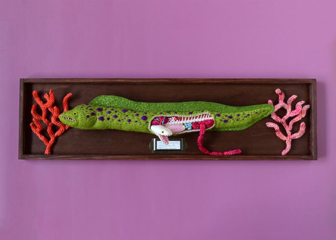 Print: Anatomical Moray Eel - Photograph Poster Wall-decor ...
