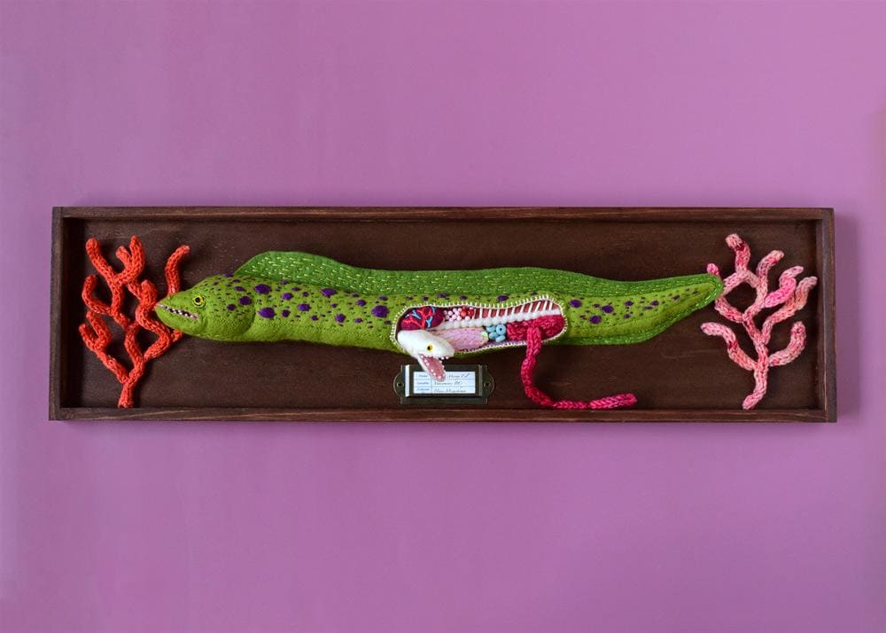 Print: Anatomical Moray Eel - Photograph Poster Wall-decor ...