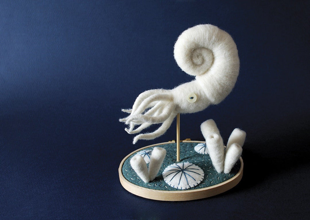 Print: Paleozoic Sea Creatures - Ammonite - Photograph Poster Wall-art ...