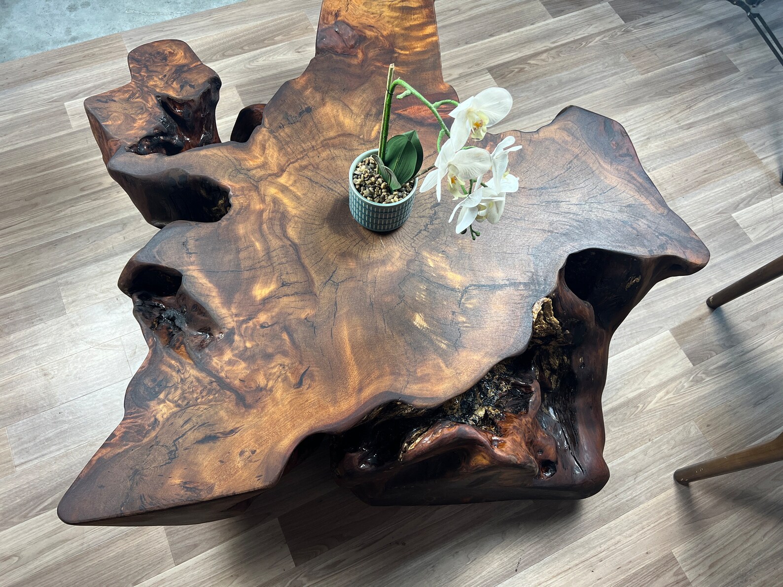 Ancient Kauri (swamp Kauri ) Side /coffee/ Tea Table: Timeless Elegance ...