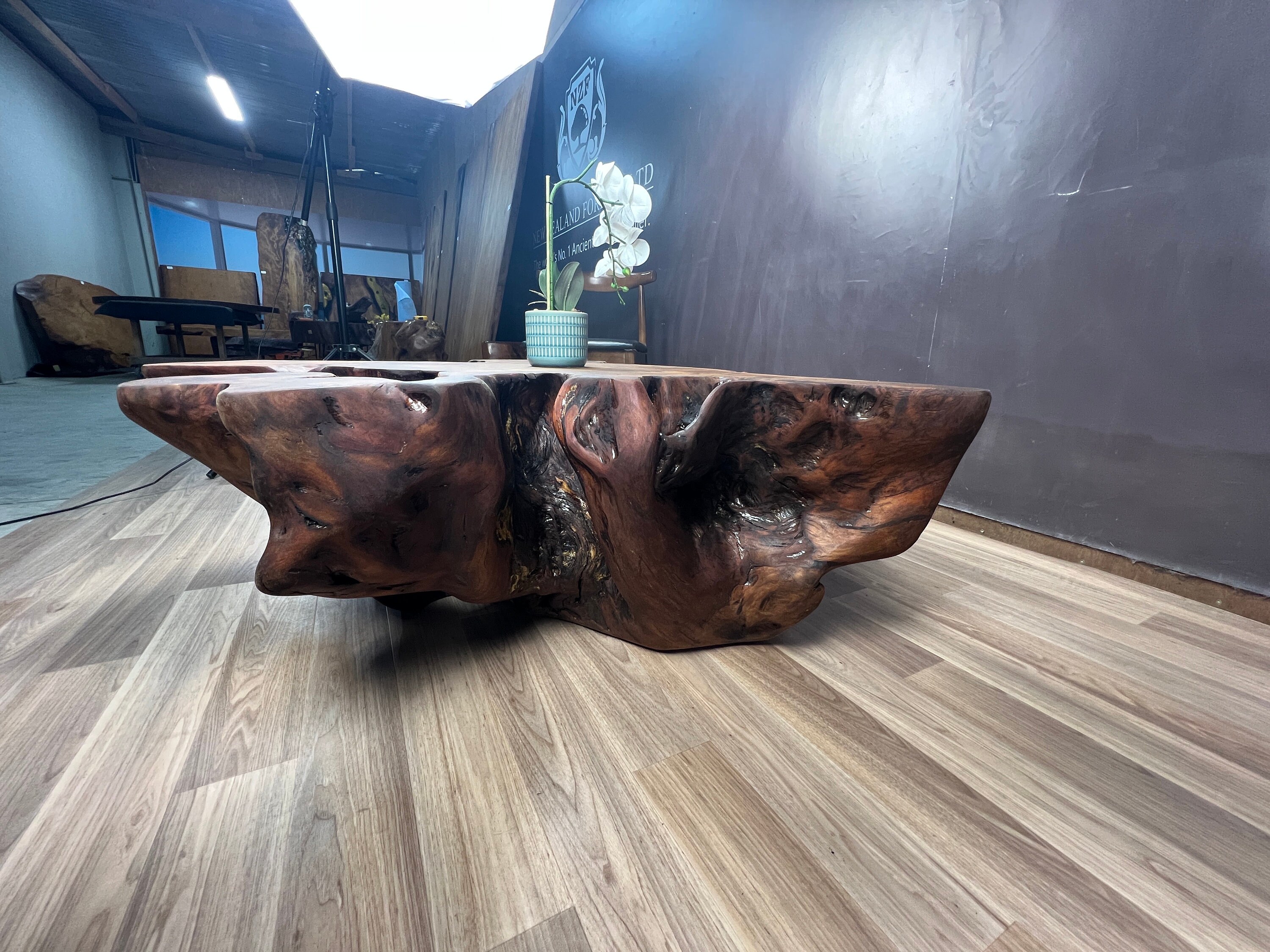 Ancient Kauri (swamp Kauri ) Side /coffee/ Tea Table: Timeless Elegance ...