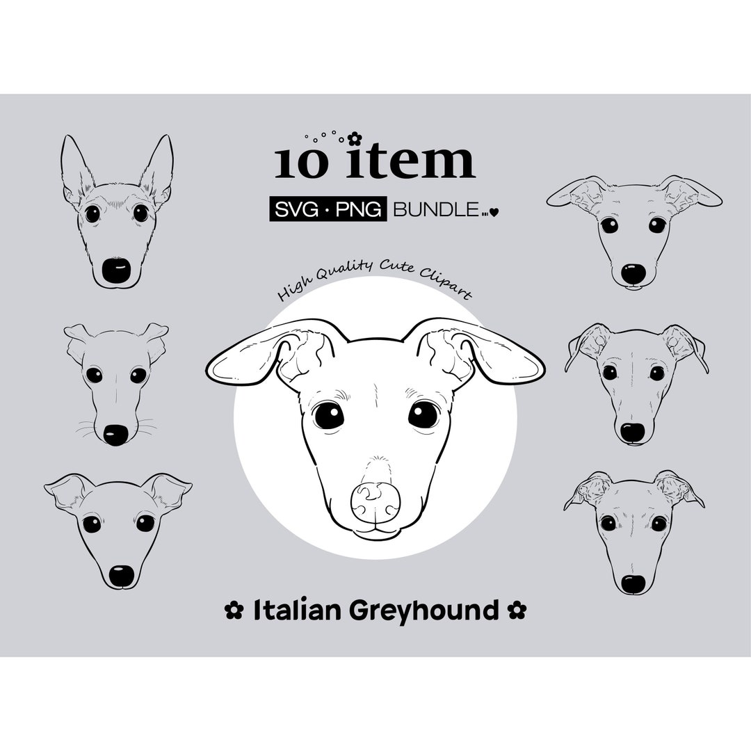 Galgo italiano SVG y PNG Clipart, paquete de cara y cabeza de perro ...